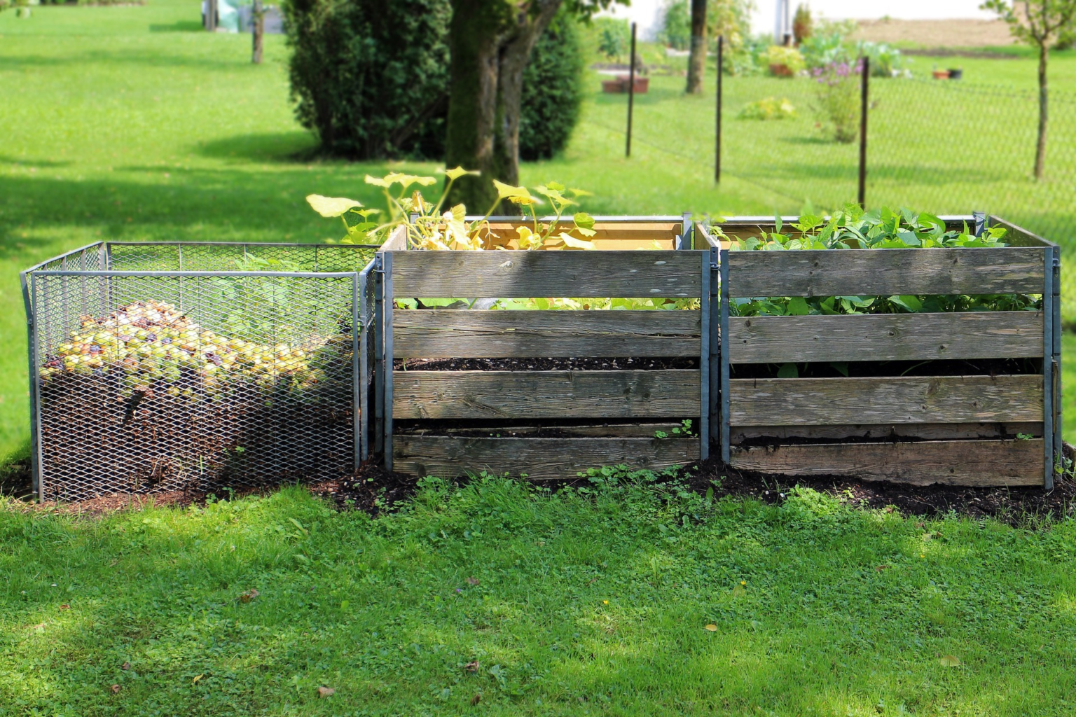 Composting Challenges: Solutions for Common Issues and How to Avoid ...